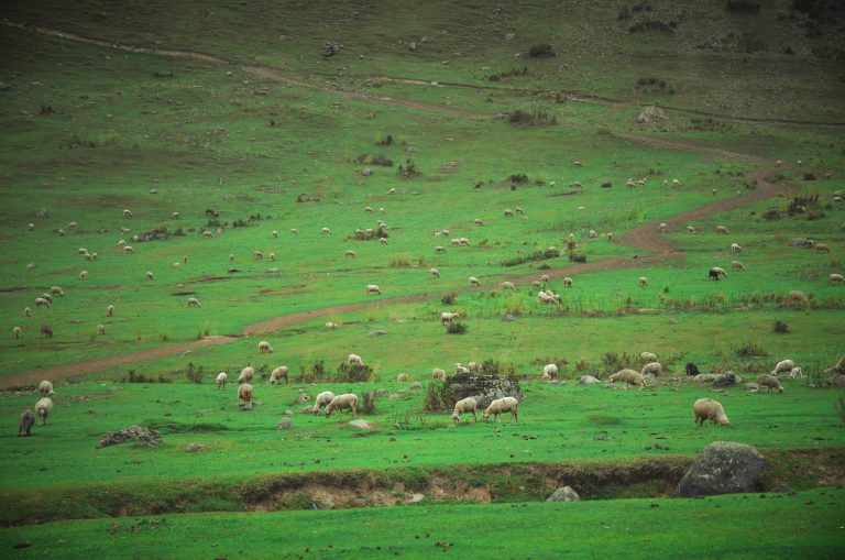 Kashmir – Go Offbeat, Beyond The Usual “Margs”